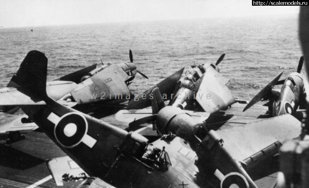 Просмотр картинки : 1502628490_Grumman-Hellcat-Image-Ref_-A08080P ...