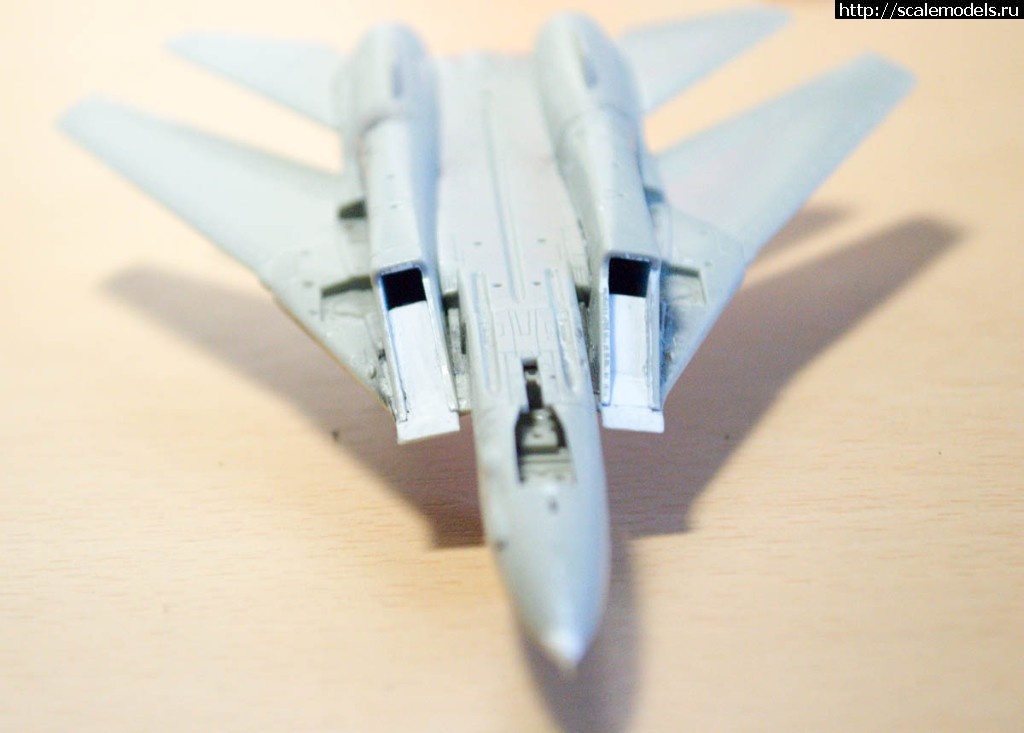 Просмотр картинки : 1530392757_DSC_1516.jpg : Revell 1/144 F-14a Tomcat