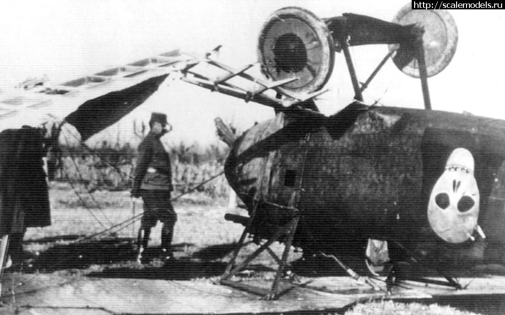 Просмотр картинки : 1548091757_Photo_002_153-52.jpg : Albatros D.III ...
