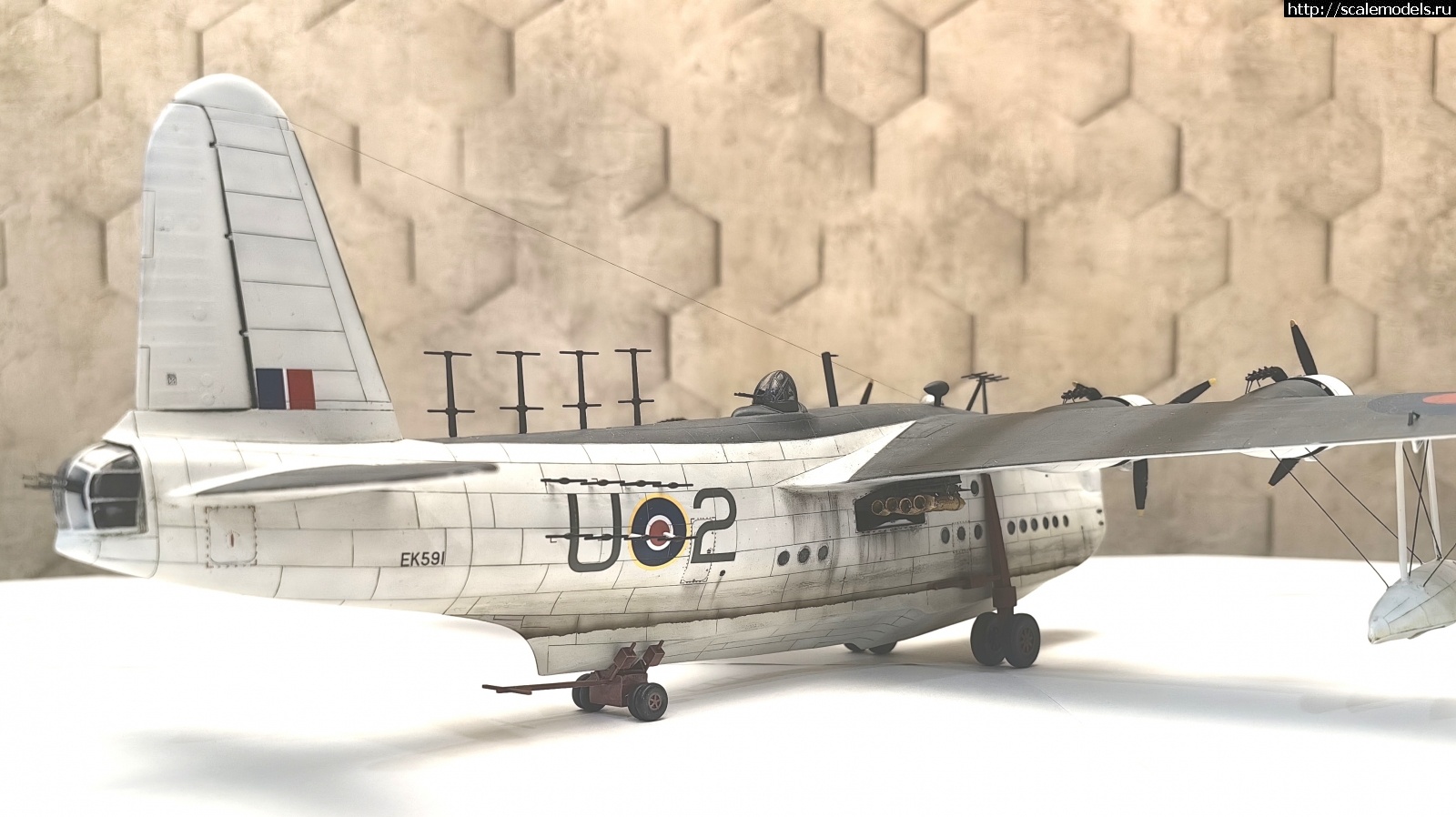 Просмотр картинки : 1729224157_IMG_20241017_220346_edit_435266665082290 ...