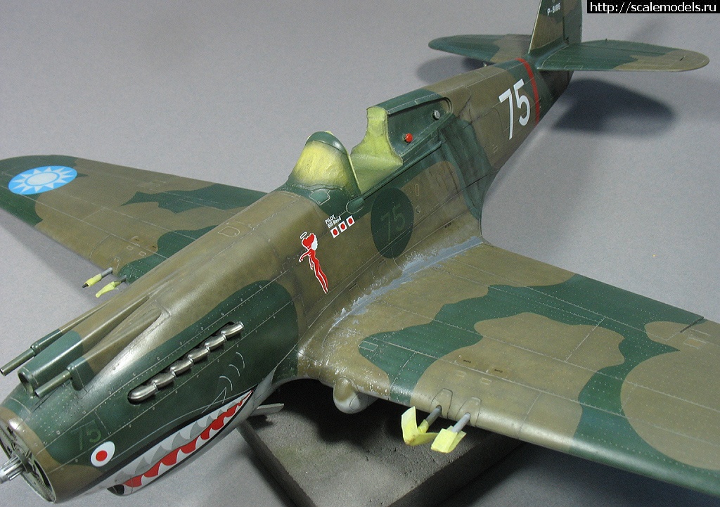 Просмотр картинки : 1742654164_IMG_4899.JPG : #1872506/ G.W.H 1/32 Flying Tigers Curtiss Hawk 81 ...